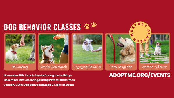 The Humane Society of Bay County - Adopt A Pet Today - Bay County Animal Shelter